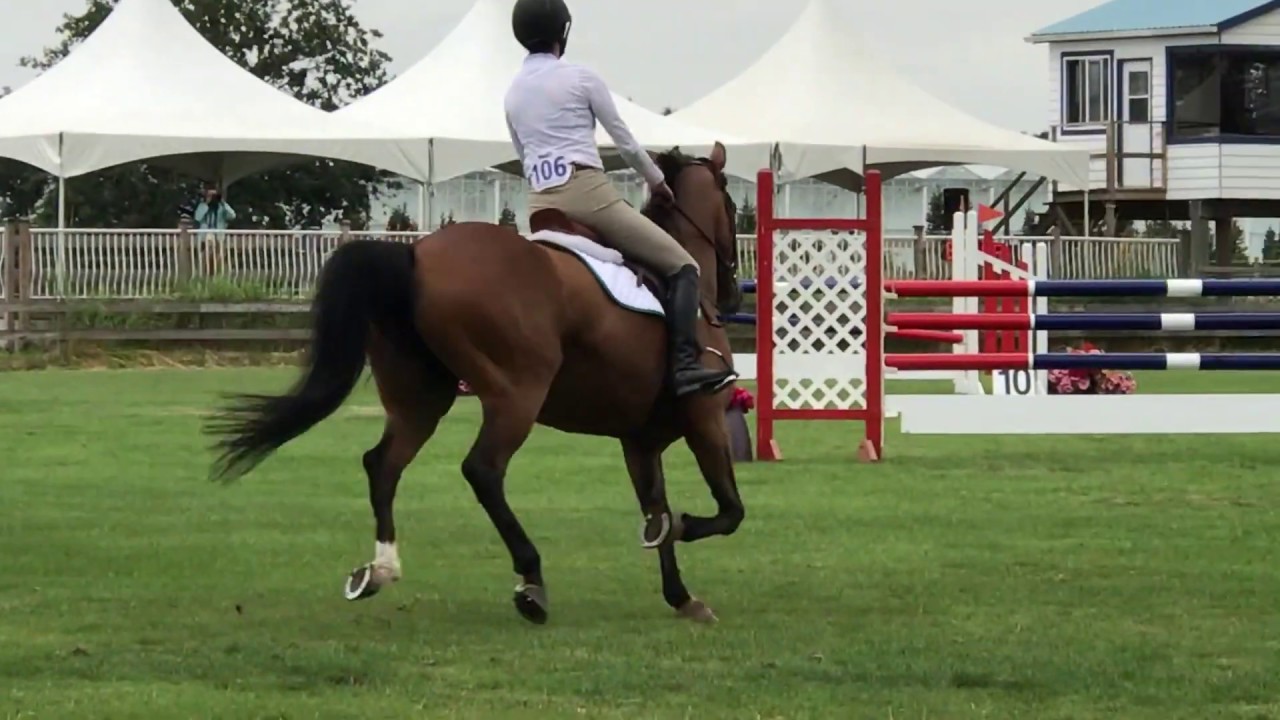 Cedric 1.15m '18 Milner - YouTube