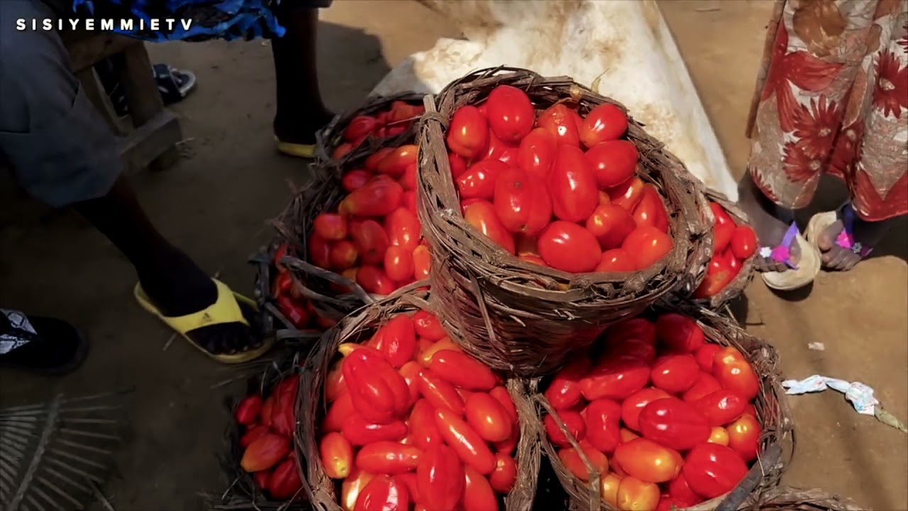 Afcon 2021 Official Theme song - YouTube