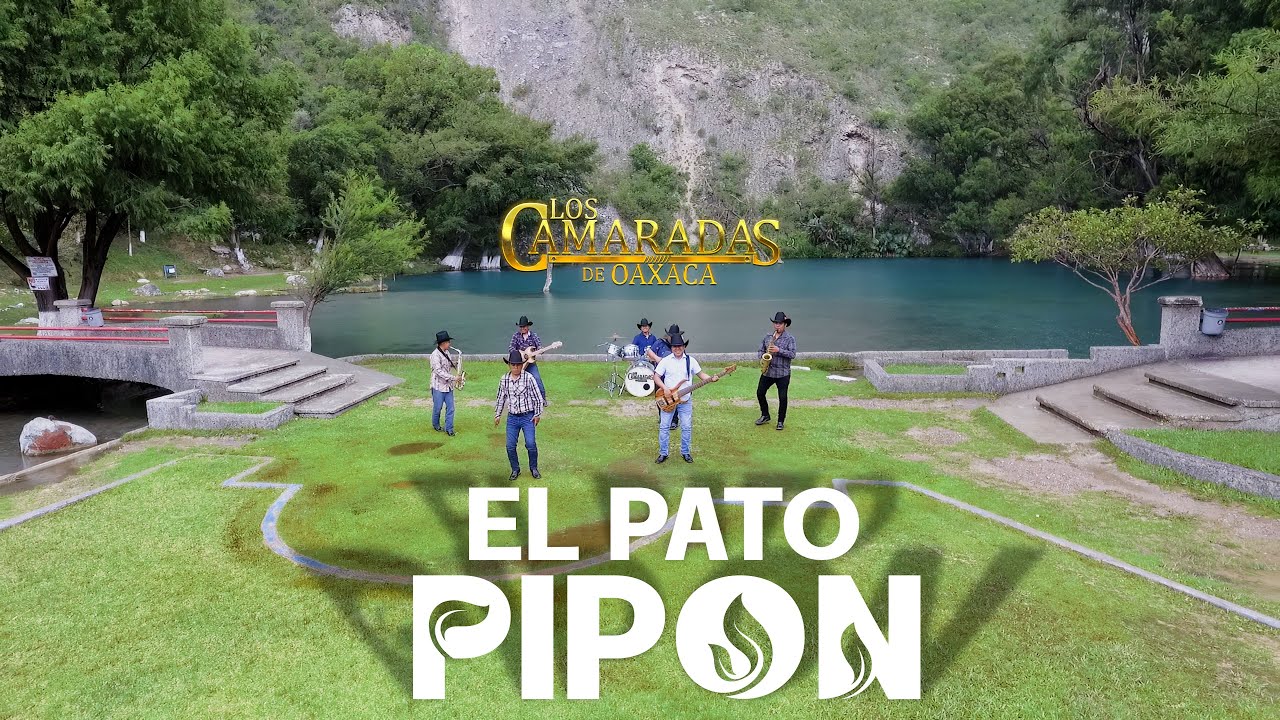 Los Camaradas de Oaxaca - El Pato Pipón (Video Oficial) - YouTube