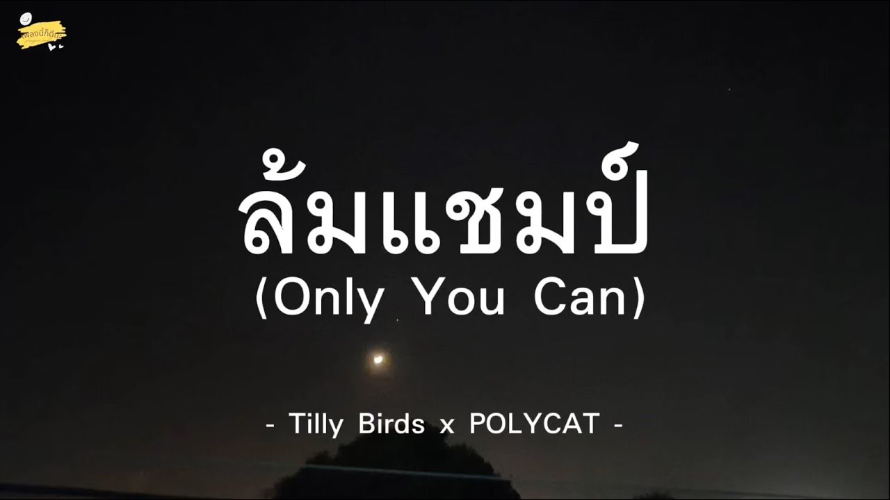 Tilly Birds x POLYCAT - ล้มแชมป์ (Only You Can) [เนื้อเพลง] - YouTube