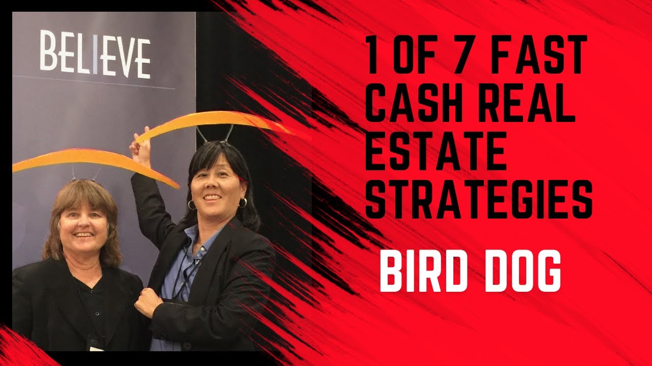 Bird Dog Real Estate Strategy: What is it? #realestate #wholesaling ...