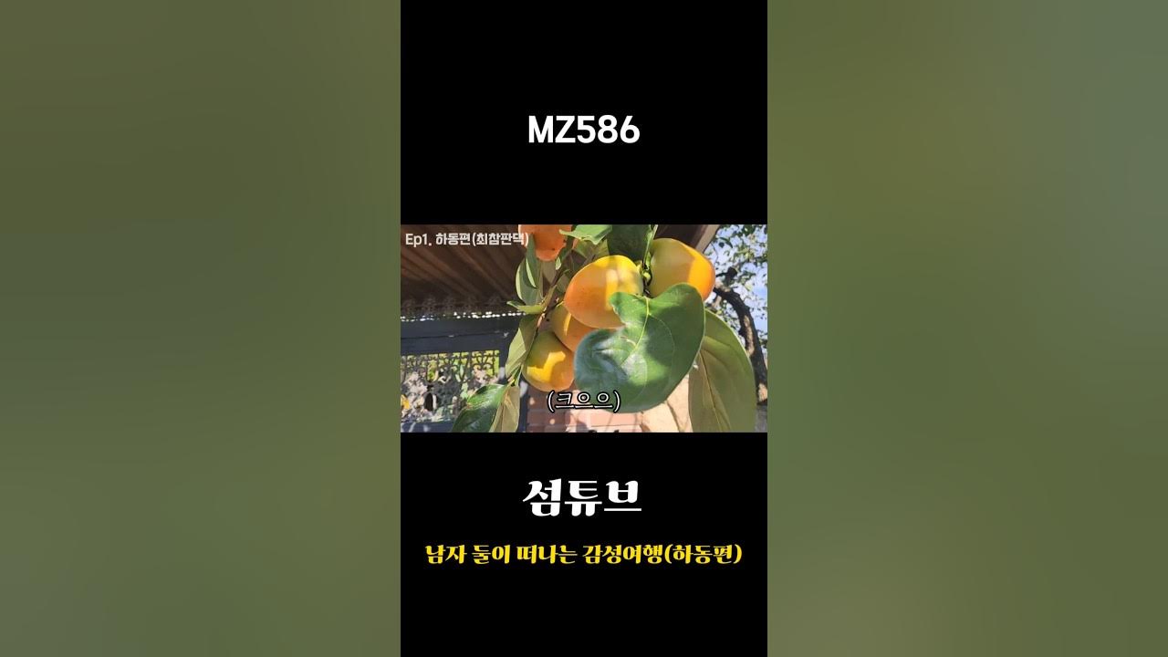 Mz를 삼킨 586 - YouTube