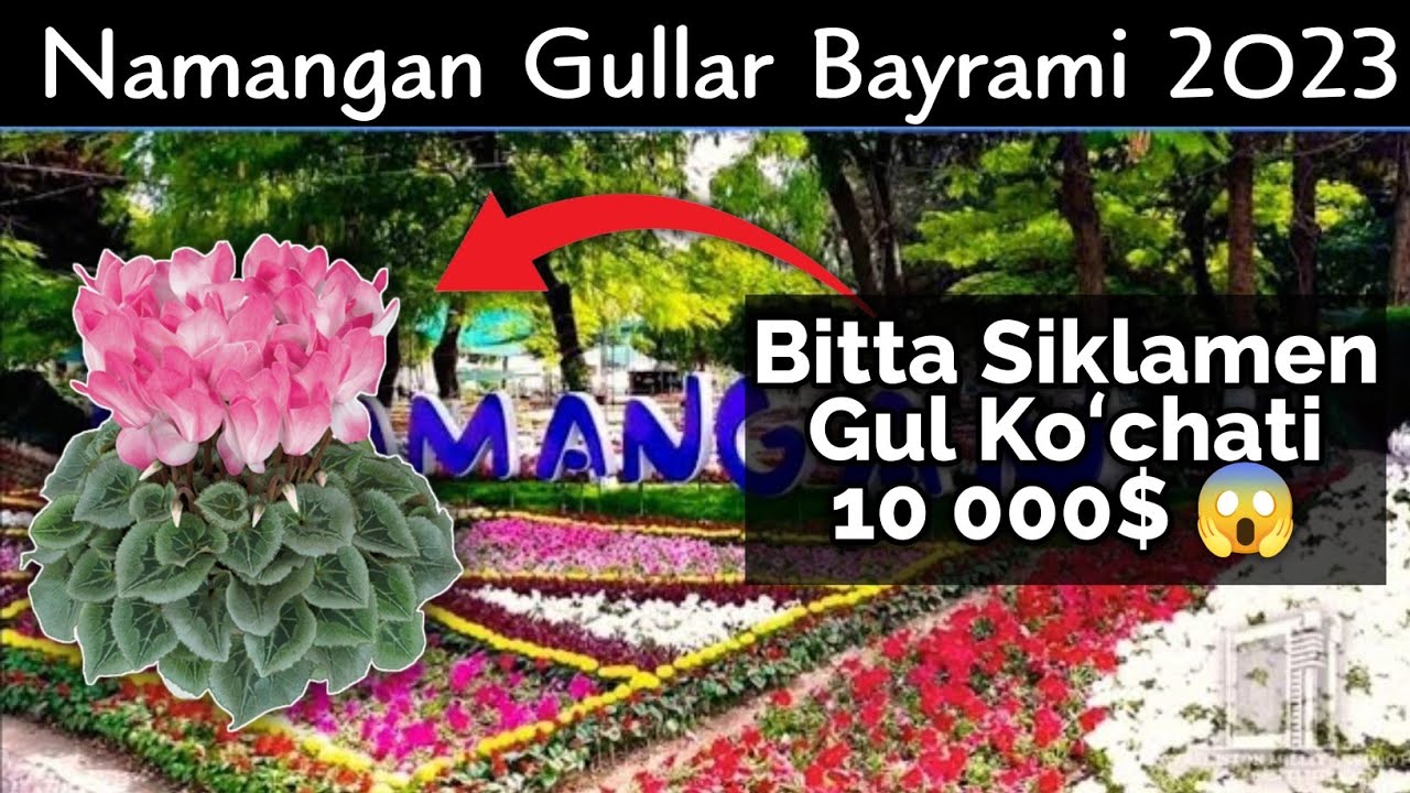 Namangan Gullar Bayrami #Vlog Uz, Kg, Kz, Tj xamma shu yerda - YouTube