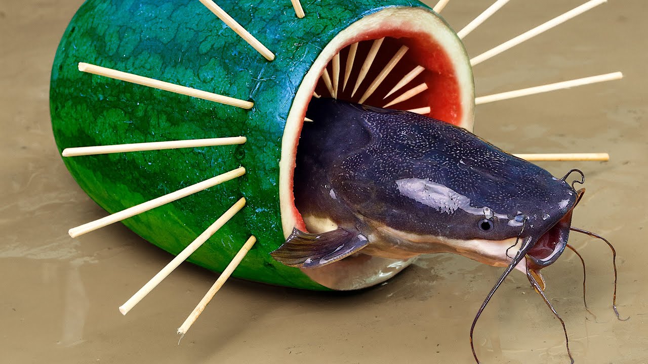 Stop Motion ASMR - Watermelon Trap Catfish Greed Cooking Experiment ...