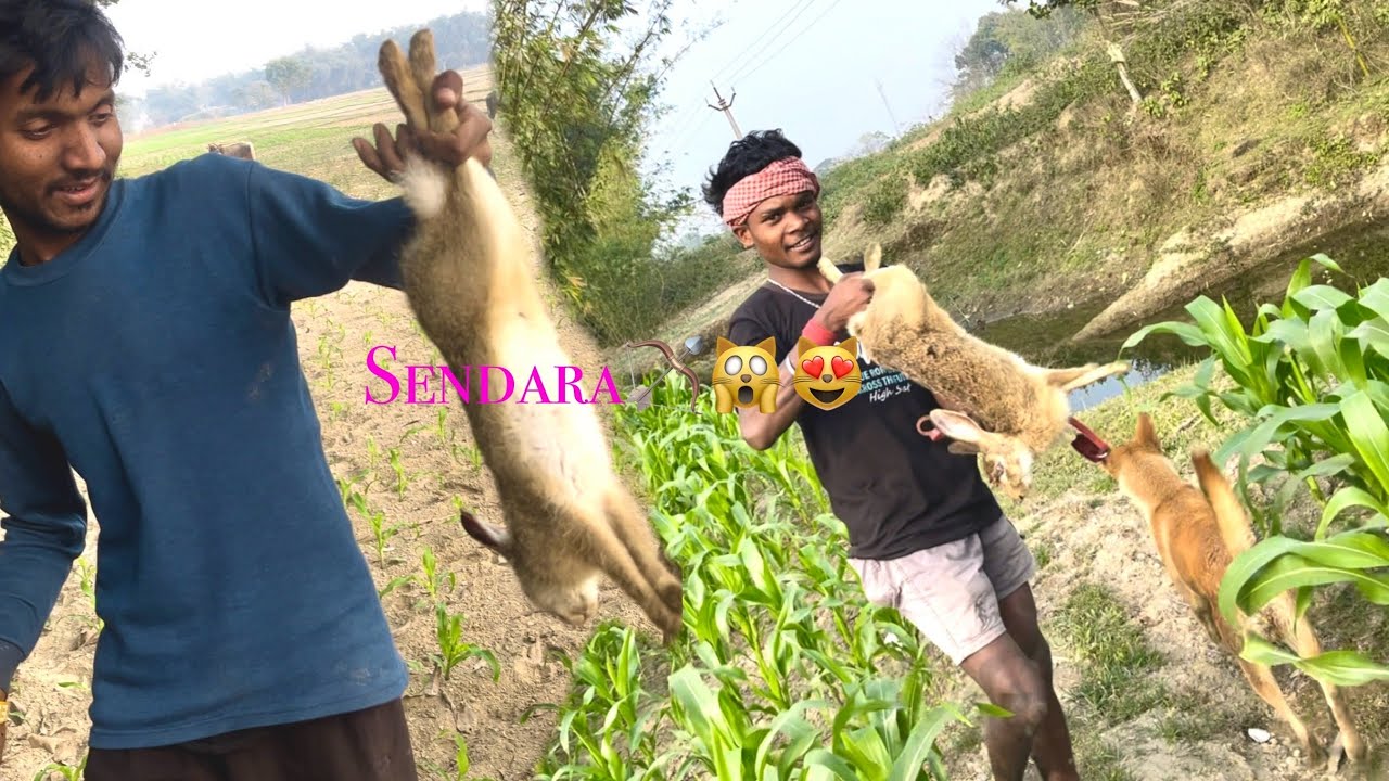 SENDARA 🏹🙀😻 || SANTALI VLOGS VIDEO 2025 || BIJOY Vlogs 😍 - YouTube