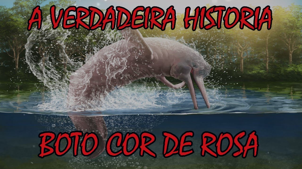 A verdadeira história do Boto Cor de Rosa - Folclore Brasileiro ...