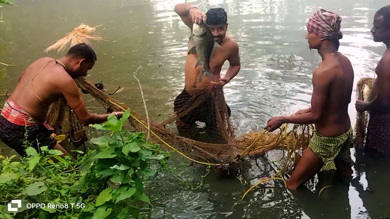 Amazing Cutting Skill | Fish Cutting Video | Village pond Fishing | B ...