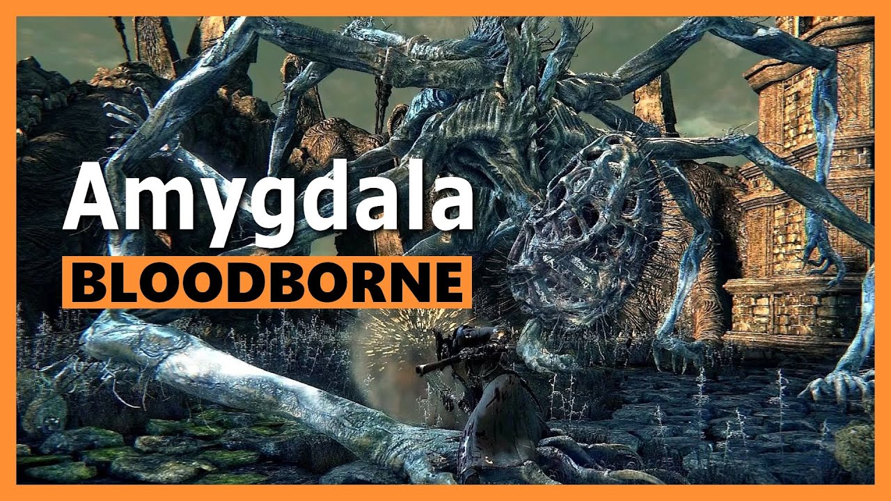 Amygdala | Bloodborne - Gameplay - YouTube
