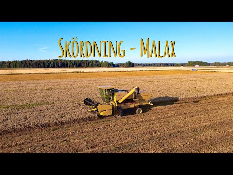 Malax | Combine Harvesting | Agriculture