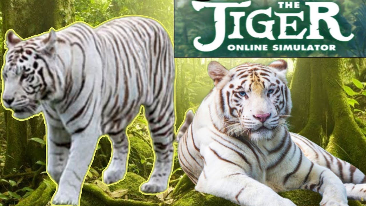 THE TIGER ONLINE SIMULATOR | TOP ATTACKS RECORDED - YouTube