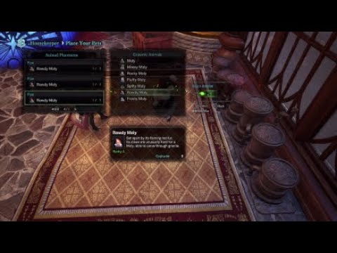 MHW Iceborne: Rocker Moly - YouTube