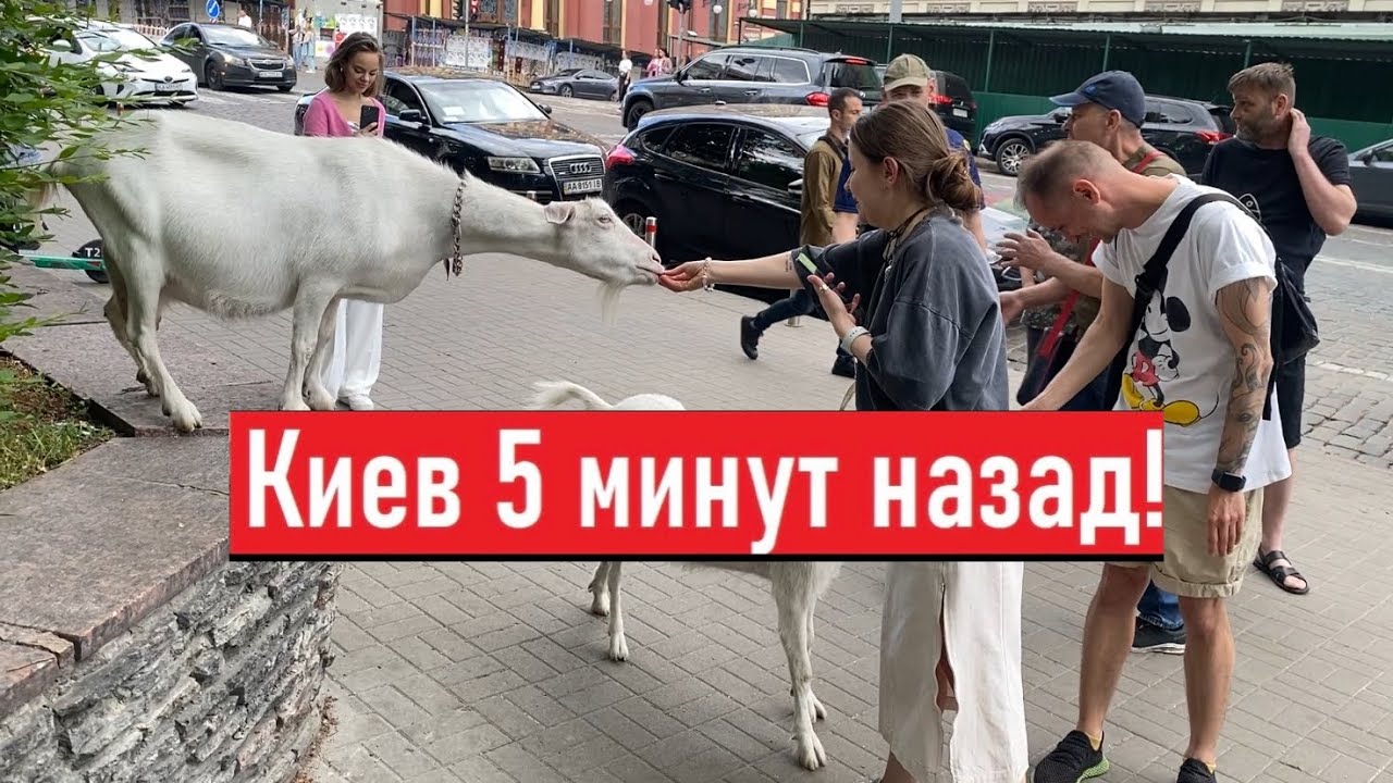 Козы в центре Киева! Что они там делают? - YouTube