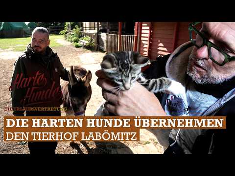 60 TIERE versorgen - Anspruchsvoller Job für die Harten Hunde 😨💪🏼 | Harte Hunde