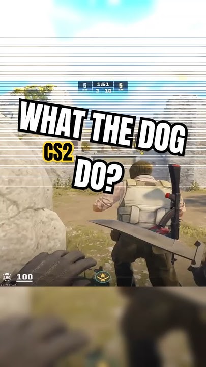 This Dog Ended My Credibility in CS2 😭🐶#c2 #cs2funny #shorts - YouTube