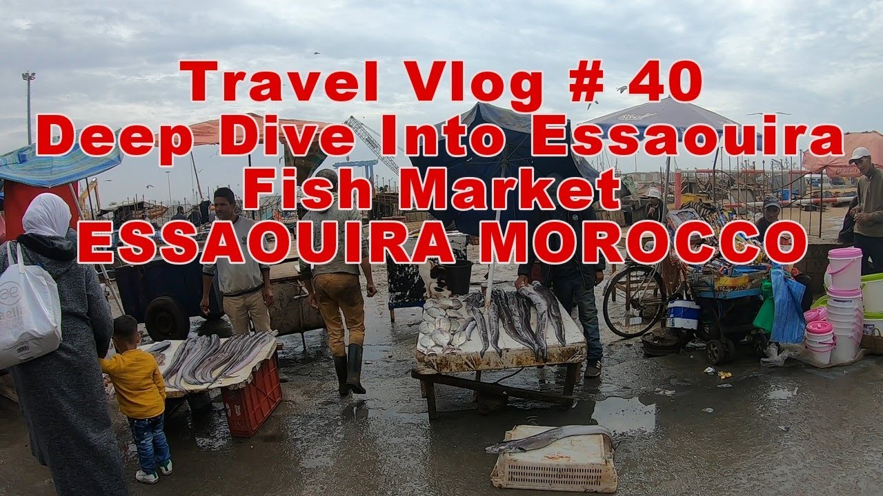 Deep Dive Into Essaouira Fish Market| ESSAOUIRA MOROCCO - YouTube