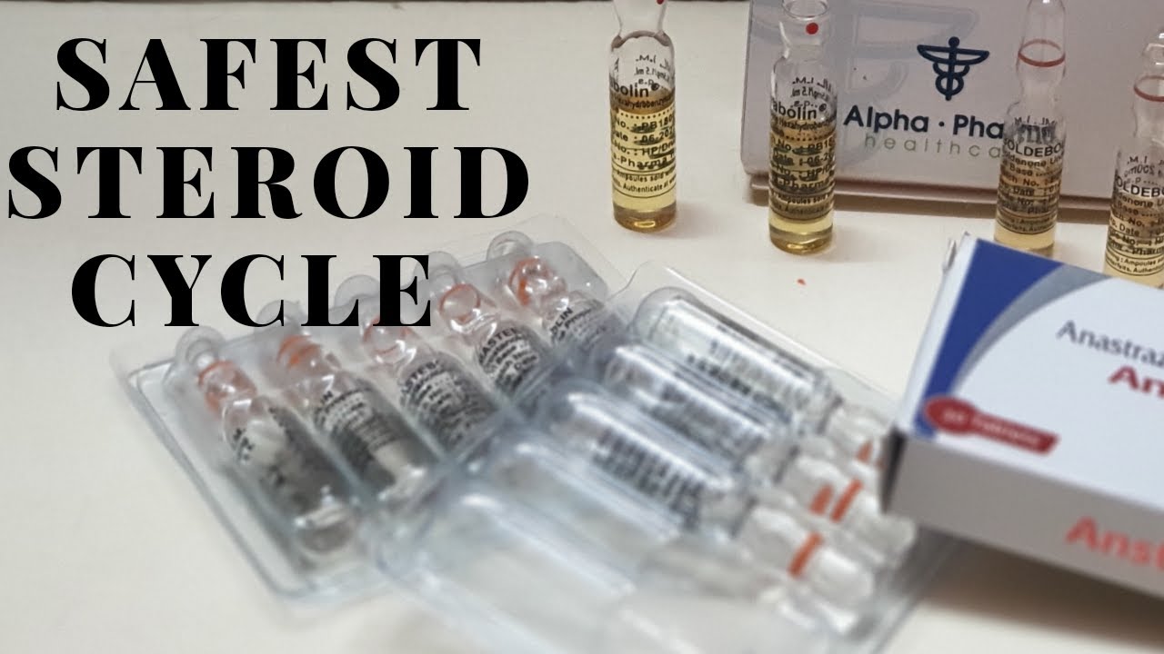 SAFEST STEROID CYCLE - YouTube