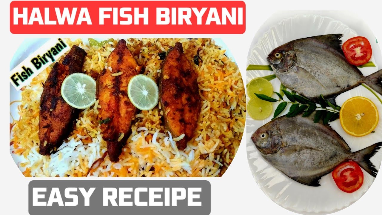 FISH BIRYANI || HALWA FISH BIRYANI || BLACK POMFRET FRY BIRYANI ...