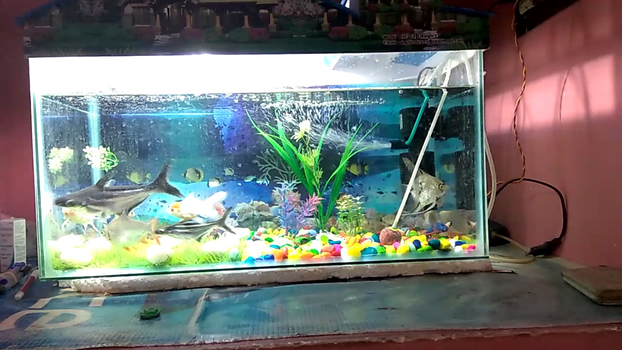Aquarium Magic - YouTube