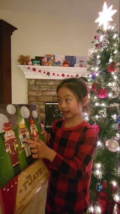 Christmas Advent Calendar Day 3 -- under the tree review by H - YouTube