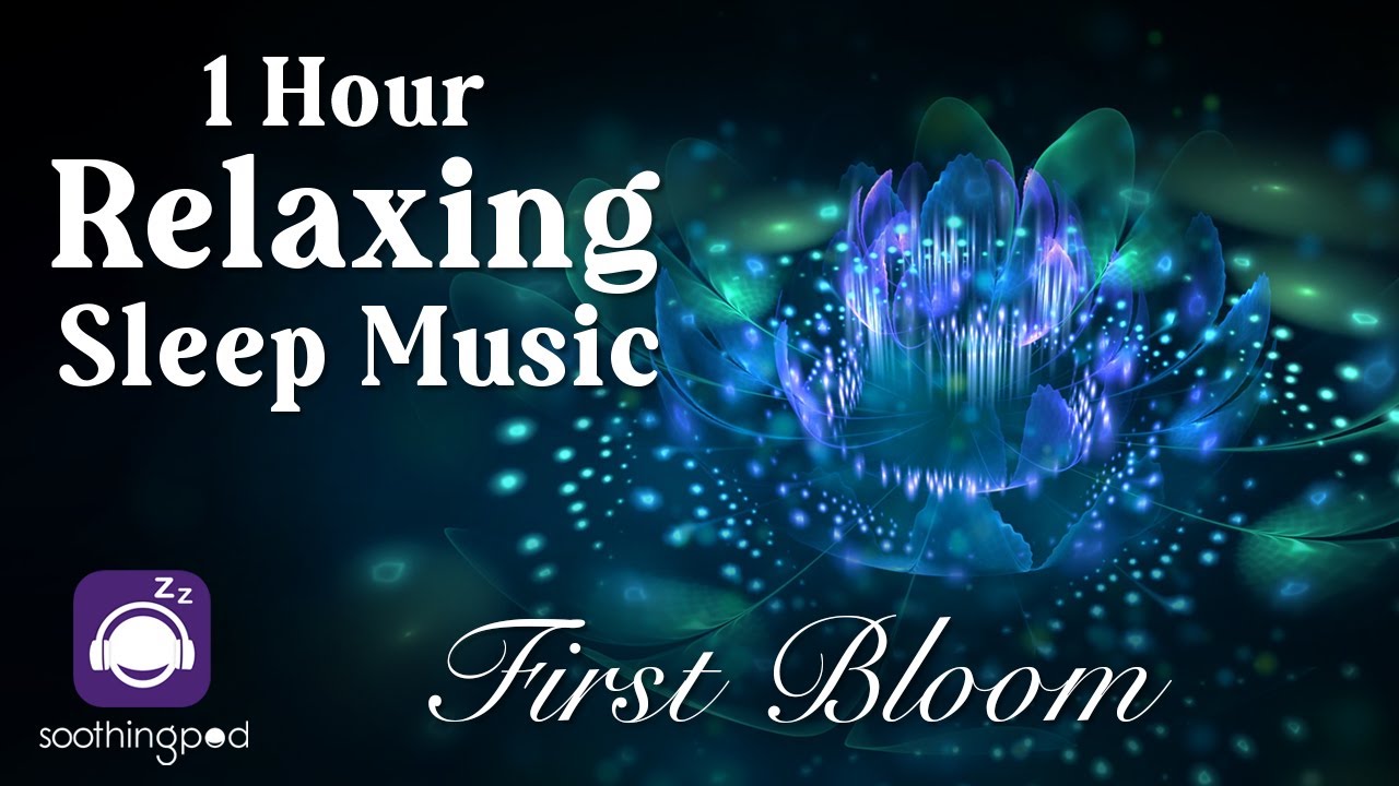 Relaxing Sleep Music | First Bloom 💮🎵| 1 Hour of Calm Instrumental ...