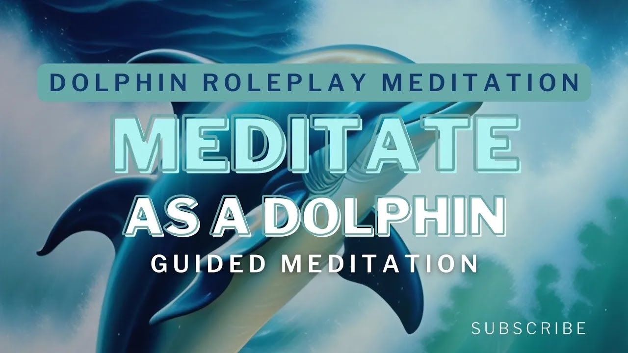 Meditate as a DOLPHIN - The uncharted perspective you NEED to explore ...