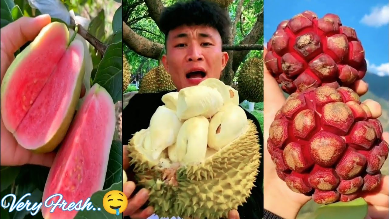 Buah Sangat Segar Hasil Pertanian || RAJA BUAH (Fresh fruit)🍇 - YouTube