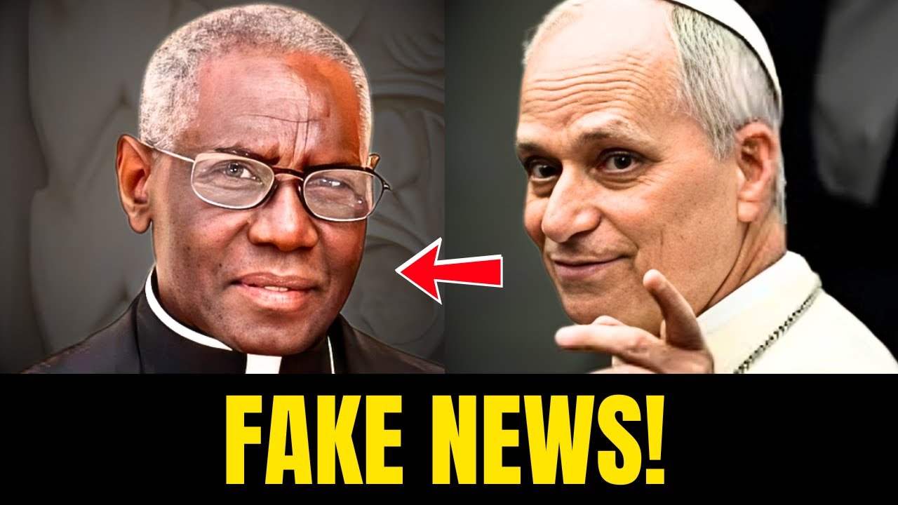 WHAT DID POPE LEO DO WITH CARDINAL SARAH? - YouTube