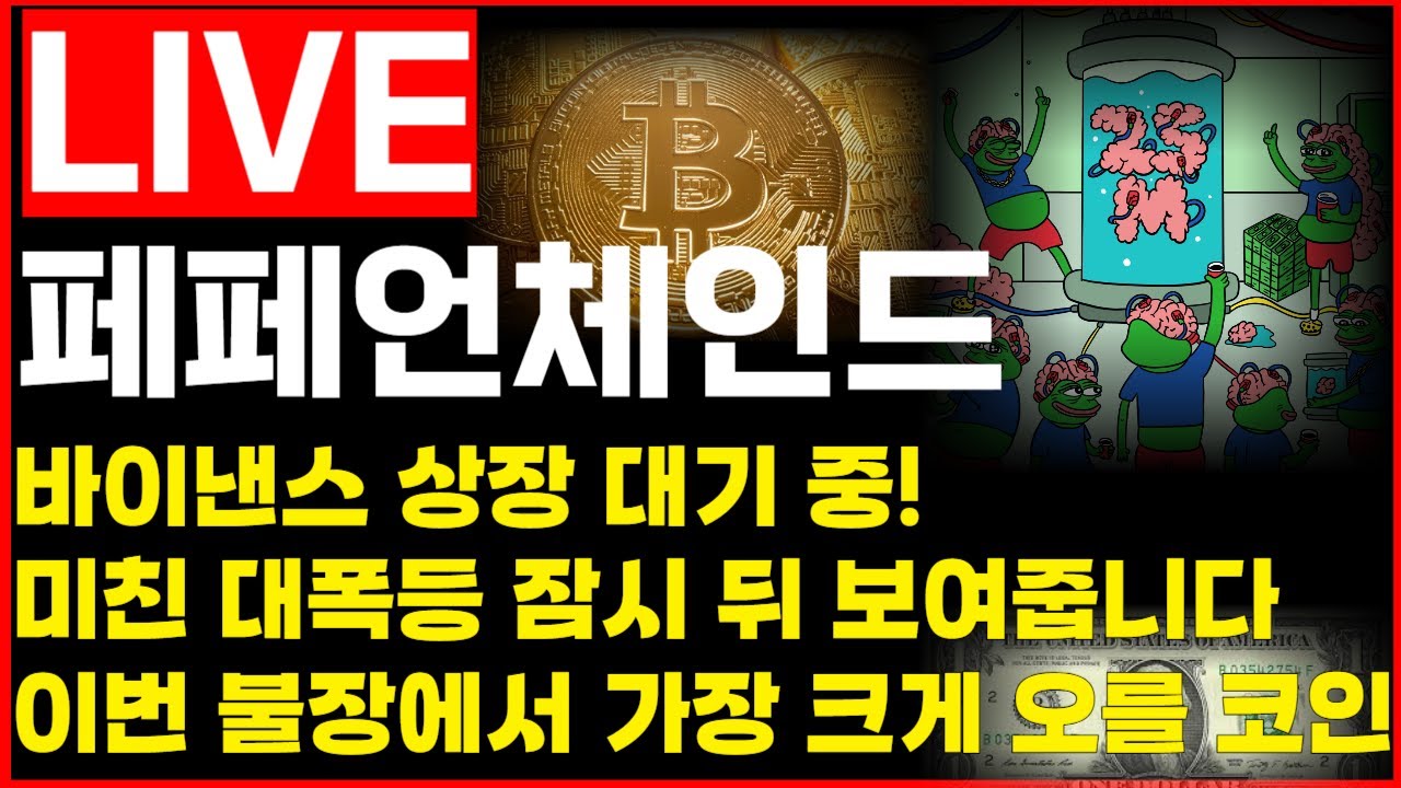 페페언체인드 이번 불장에서 가장 크게 오를 밈코인 바이낸스 상장 대기 중 역대급 프리세일 잠시 뒤 종료합니다 Youtube