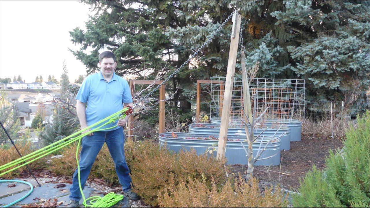 Transplant a tree with a stump pulling lever - YouTube