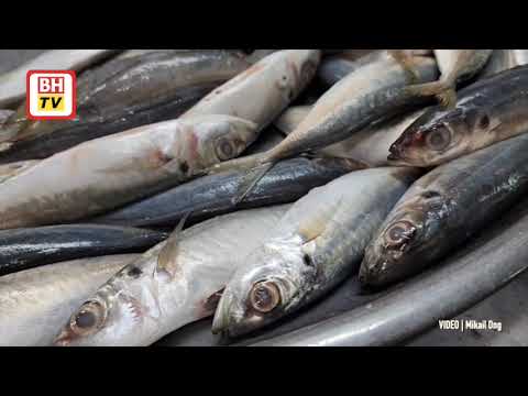 Harga ikan, timun naik - YouTube