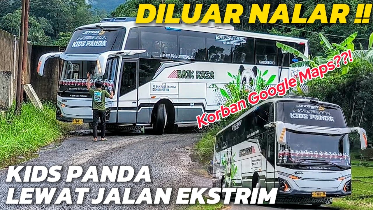 BUS BAIK RASA KIDS PANDA 🐼‼️ MELEWATI JALAN SEMPIT PEDESAAN, KORBAN ...