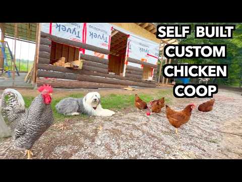 Building a Custom Chicken Coop - New & Improved