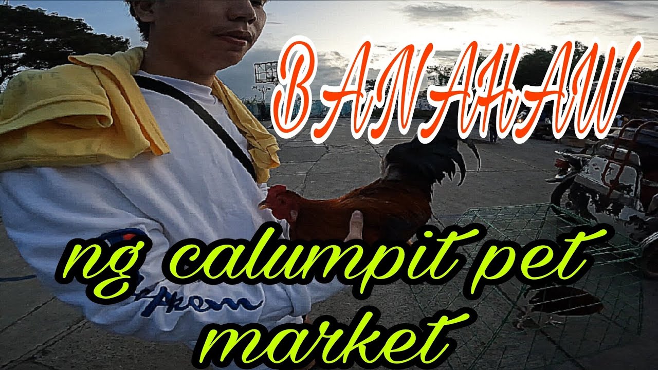 Banahaw ng calumpit pet market - YouTube
