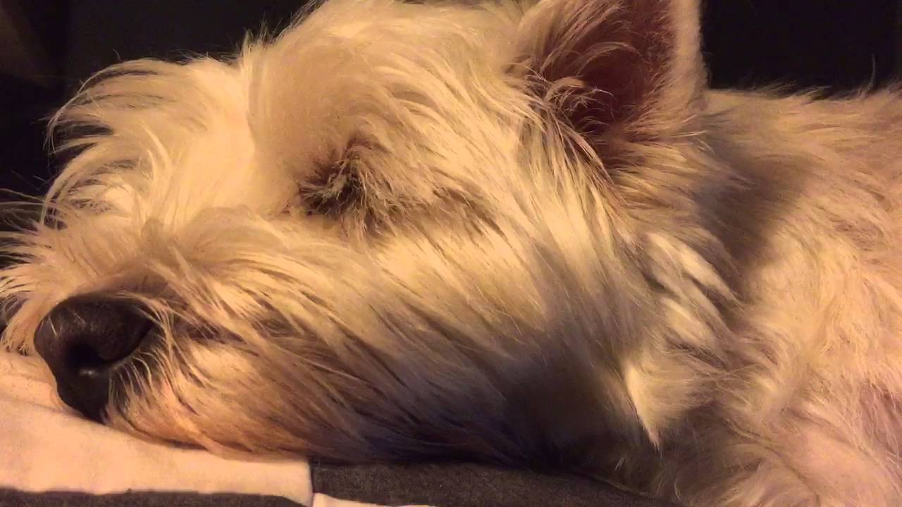 Krooh__pyyh - YouTube