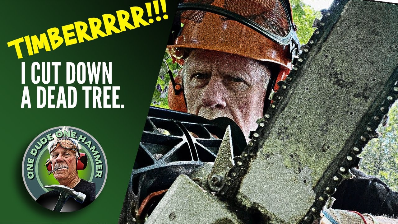 TIMBERRRR!!! LET’S FELL A DEAD TREE - YouTube