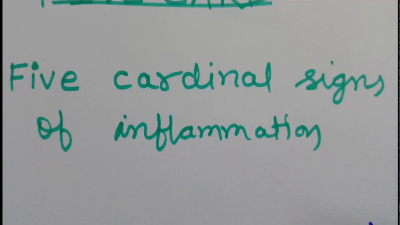 Cardinal signs of inflammation - YouTube