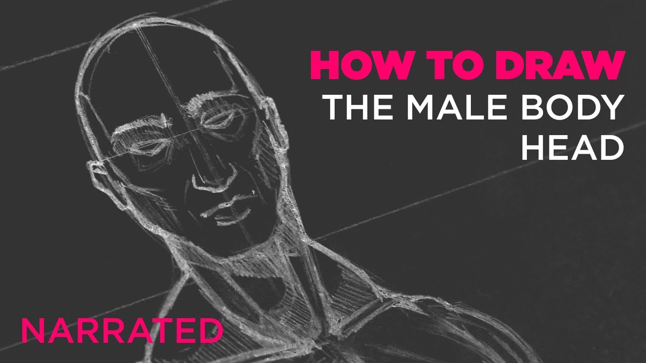 How to Draw the Male Body - Head (Narrated) - YouTube