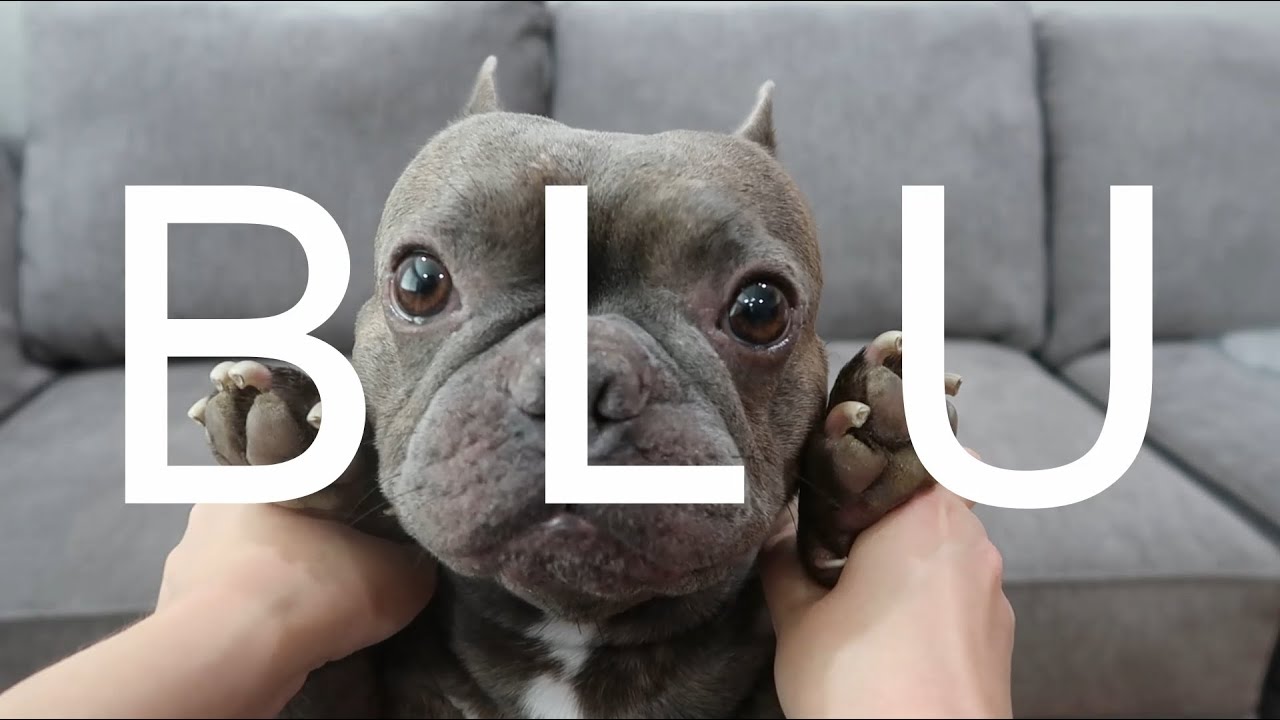 blu update - YouTube