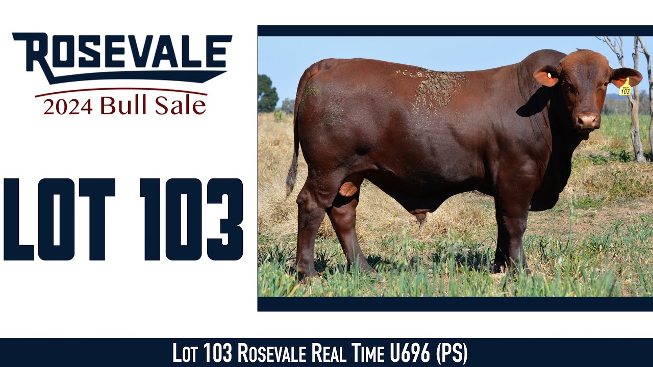 Lot 103 Rosevale Real Time U696 (PS) - YouTube