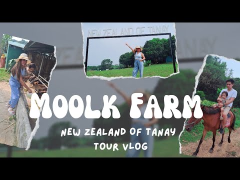 NEW ZEALAND OF TANAY | MOOLK FARM | ANNE C. - YouTube