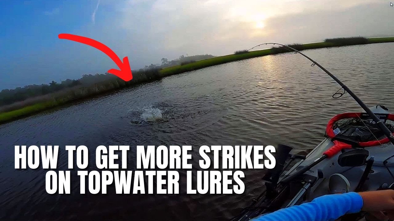 How Can You Get Fish To Fully Commit and Eat Topwater Fishing Lures ...