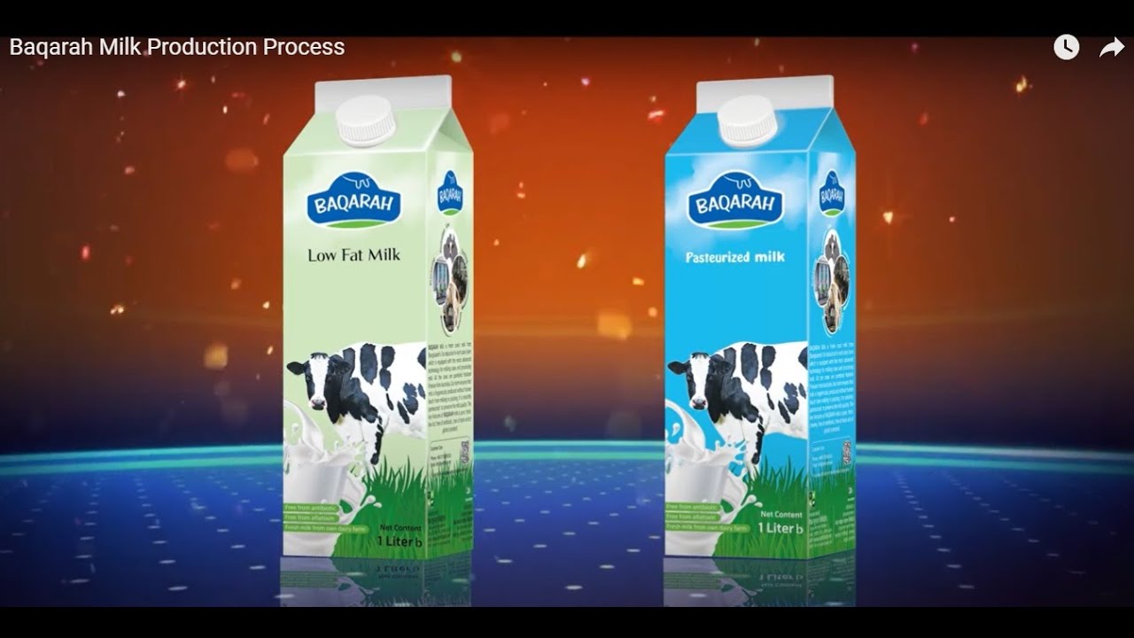 Baqarah Milk Production Process | Pasteurized Milk | Without Human ...