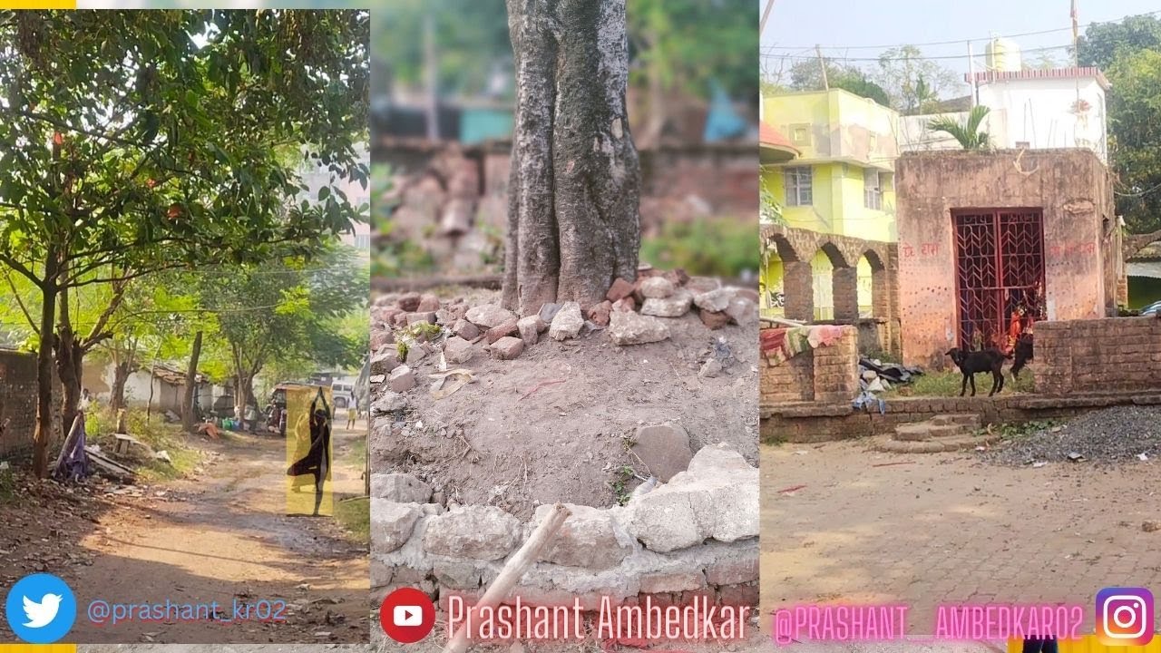 Making Chabutra On A Tree, #prashant #rawankr2232 #prashant_kr02 # ...