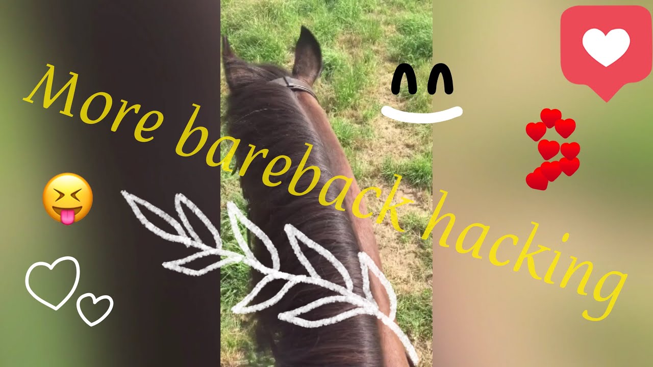 More bareback hacking (read description) | BlueEquestrian - YouTube