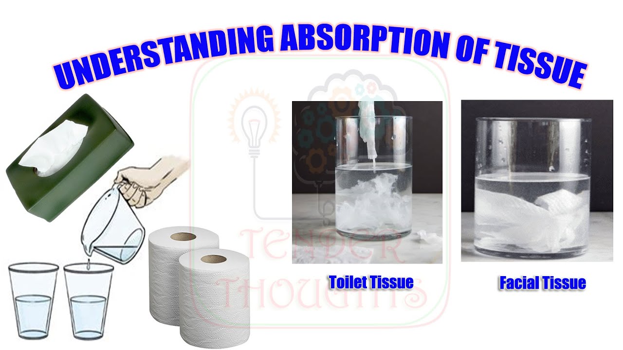 UNDERSTANDING ABSORPTION OF TISSUE PAPER - YouTube