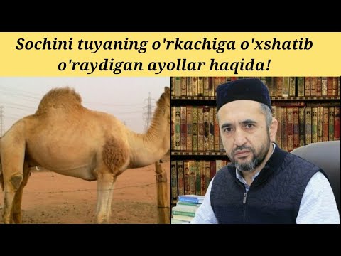 Ayollar sochini tuyaning o'rkachiga o'xshatib o'rashi | Muhammad Ayyub domla