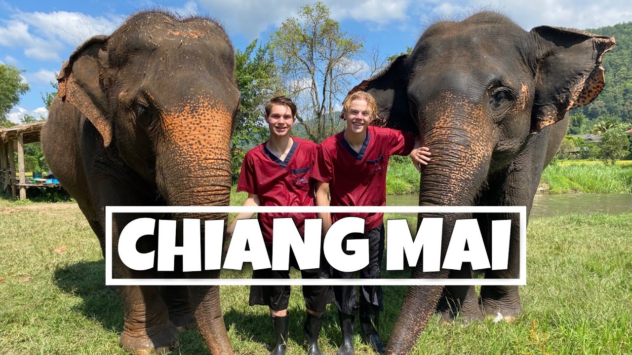 We bezoeken een elephant sanctuary in Chiang Mai || Azië vlog #4 - YouTube