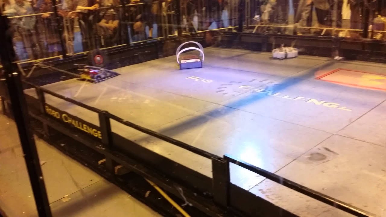 The 2014 UK FW Championships - Beauty 8 vs Mr Mangle vs Killer Bee ...