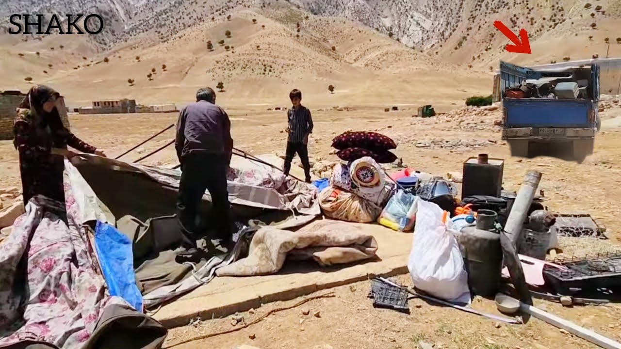 Engineer's family: family love and empathy in search of the ideal home ...