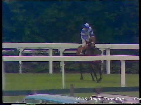 1985 Royal Hunt Cup Come On The Blues Includes Replay